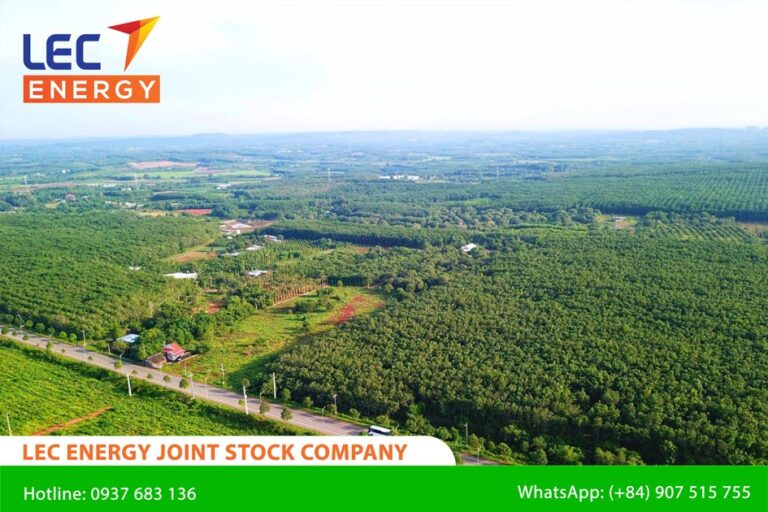 What is production forest?